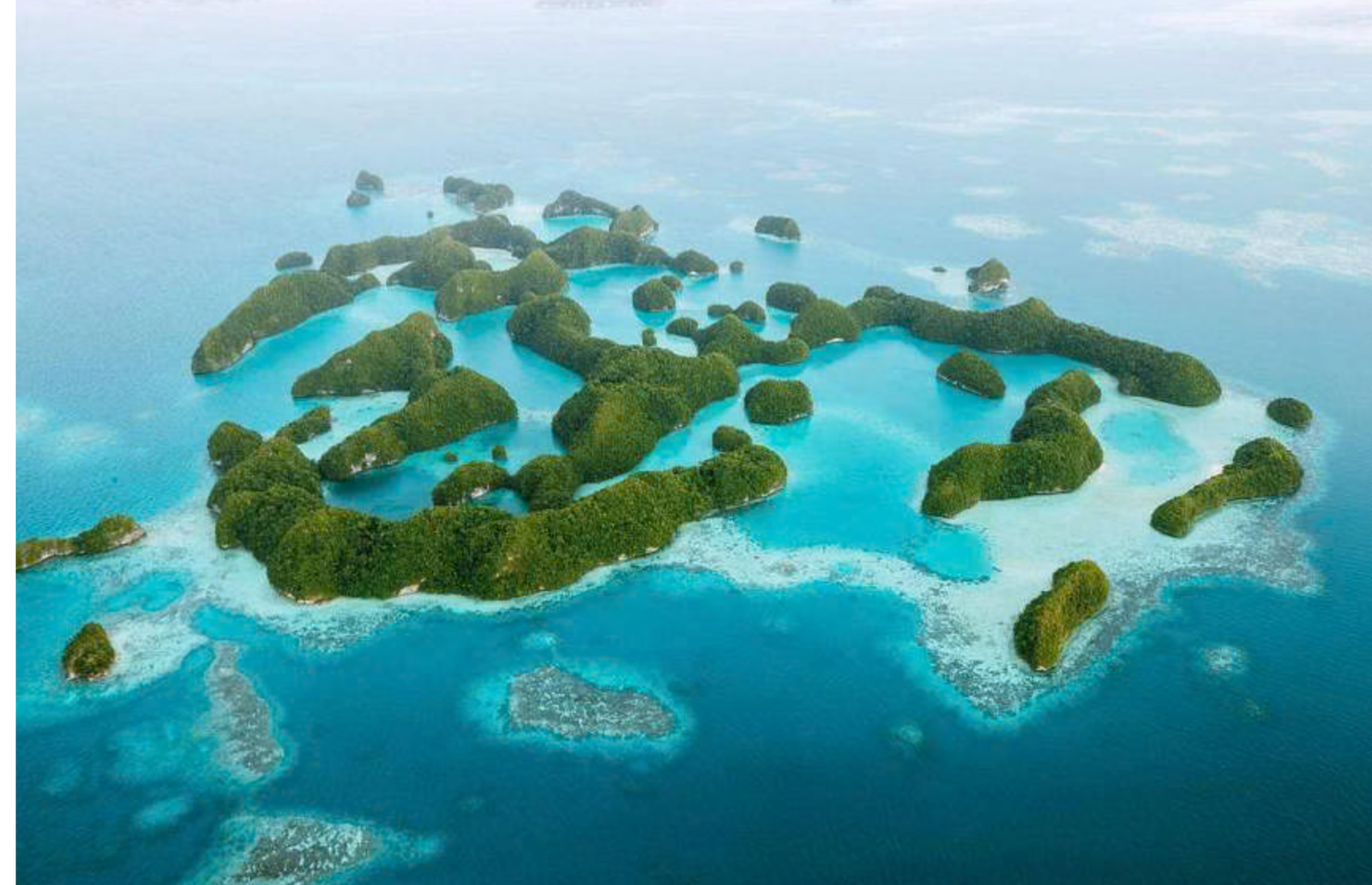 Alii Palau Airlines announces inaugural flight from Singapore to Palau ...